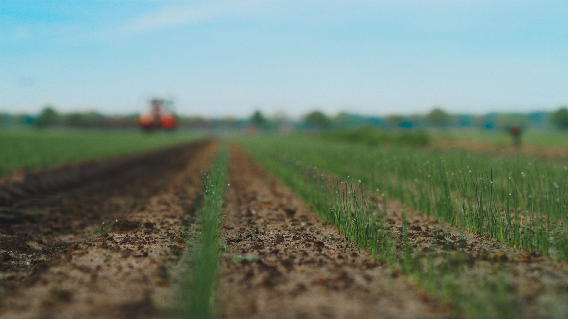 Den Ouden GrowSolutions